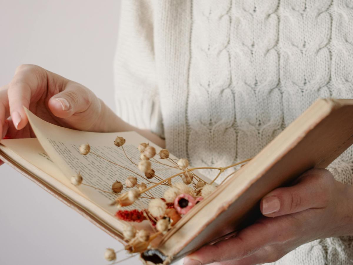 OLD SCRATCH PRESS – a poetry/short-form collective | estd. 2023